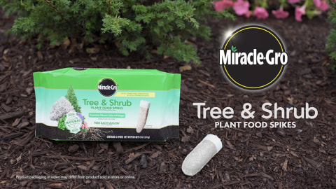 Miracle-Gro Tree & Shrub Fertilizer Spikes, 3 lb, 12 Spikes, Easy to ...