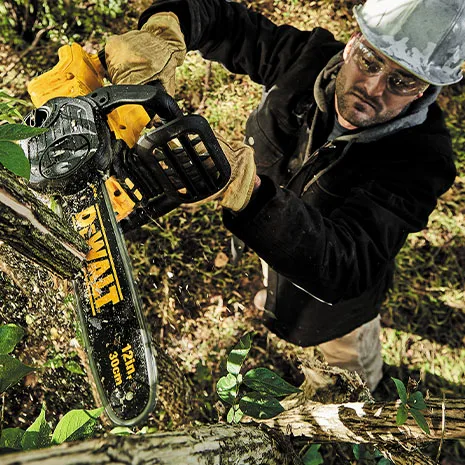 Dewalt 20v max xr chainsaw kit store
