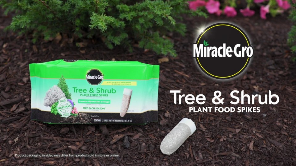 Miracle-Gro Fruit Sticks Fertilizer for Trees & Shrubs - Vibrant Blooms ...