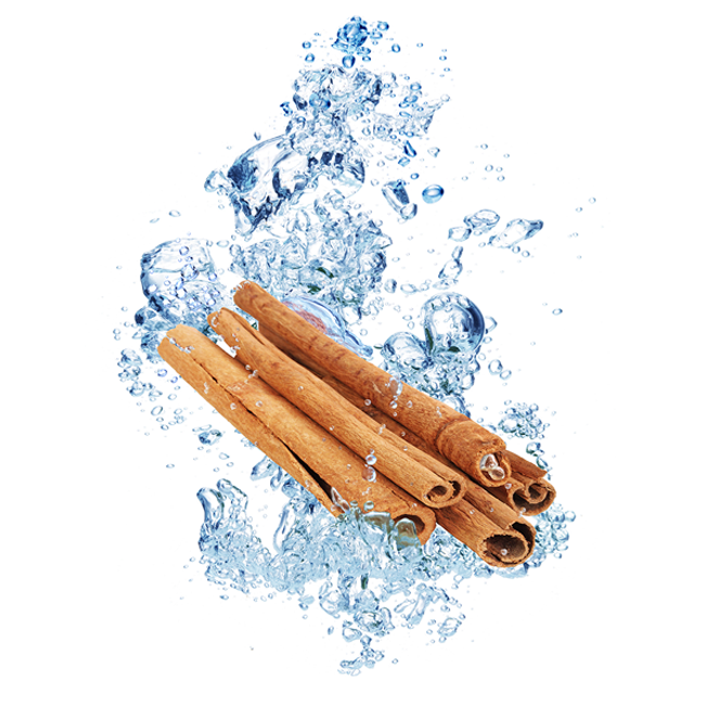 trunature Advanced Strength CinSulin 500mg., 200 Vegetarian Capsules ...