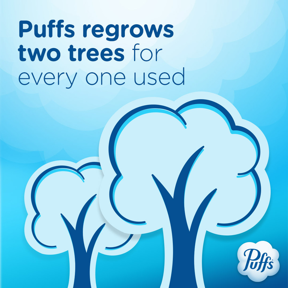 Puffs Plus Lotion Facial Tissue, 10 Family Boxes/124 Tissues Per Box ...