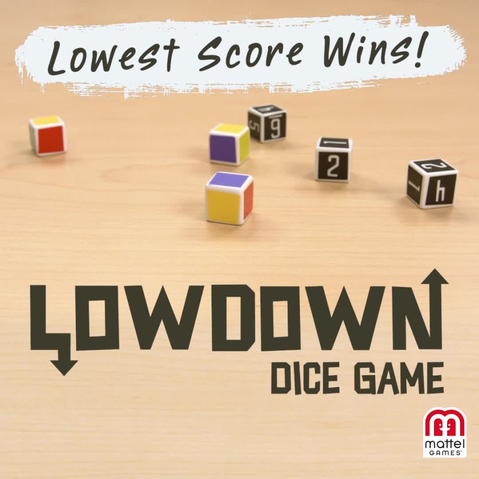 Lowdown Roll and Write Dice Game for Kids, Adults and Family Night with ...