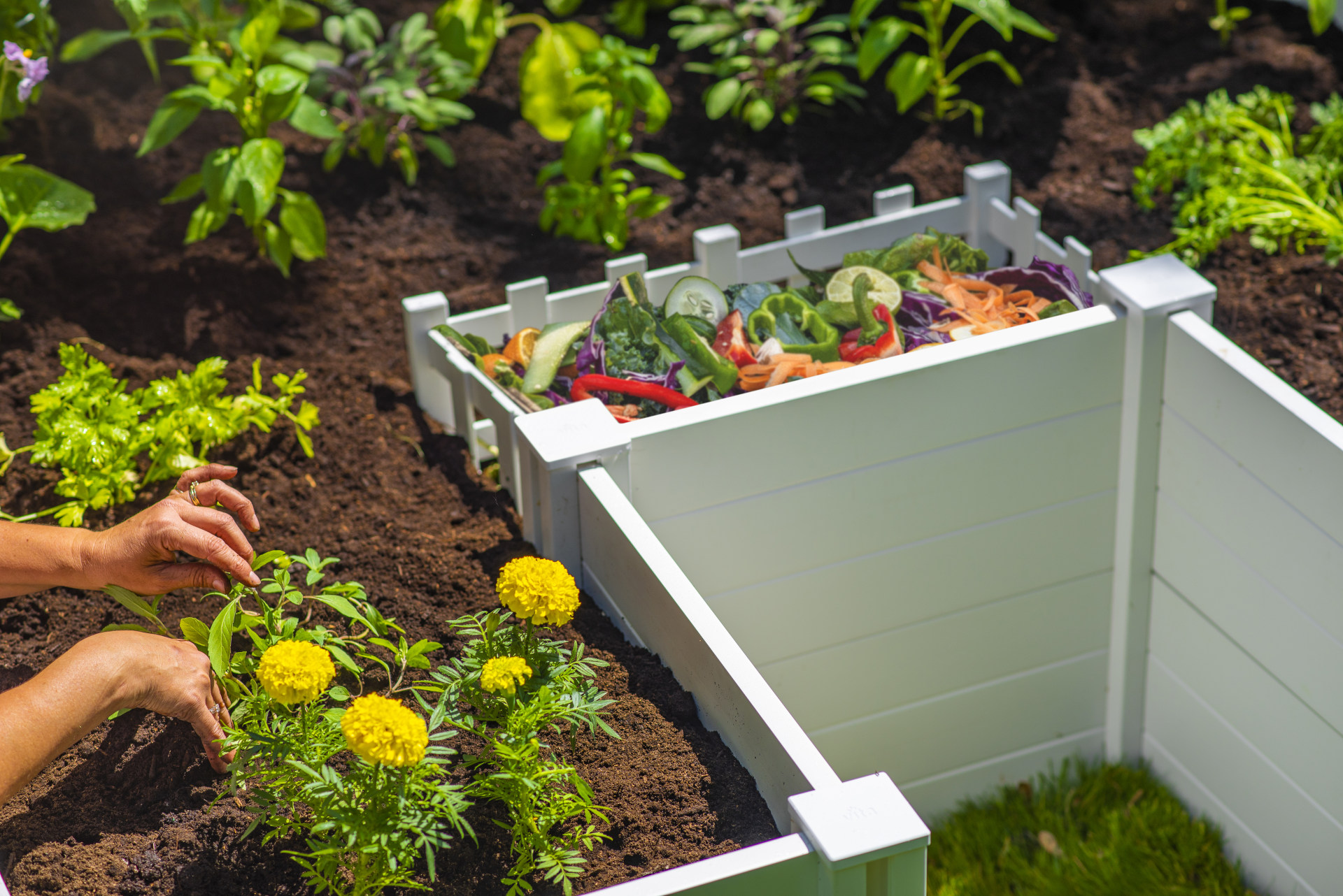 Keyhole Gardens In The Middle With Compost