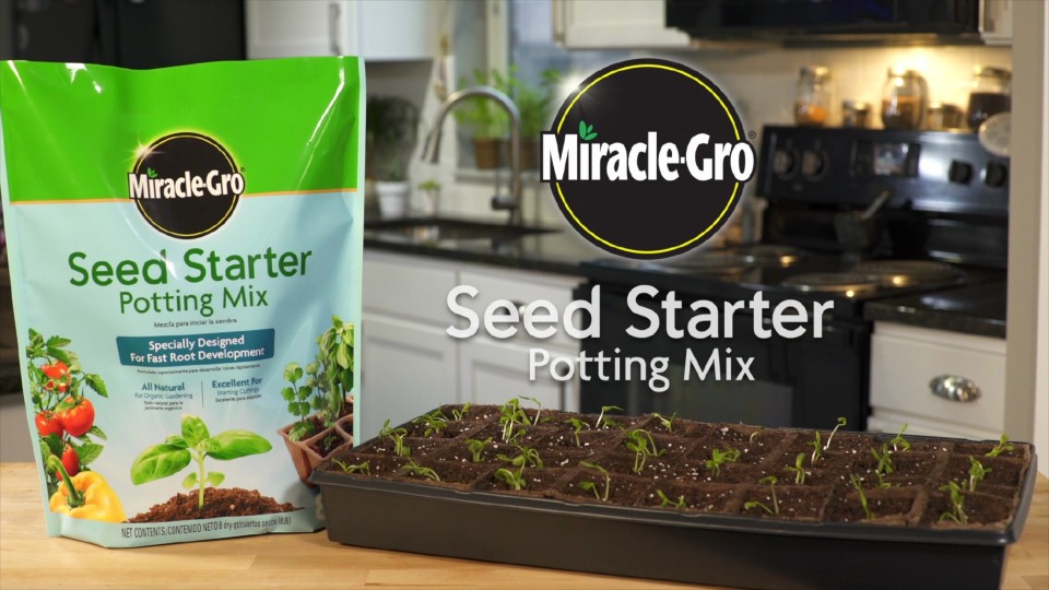 Miracle-Gro Seed Starting Potting Mix, 8 qt., For Use in Containers ...