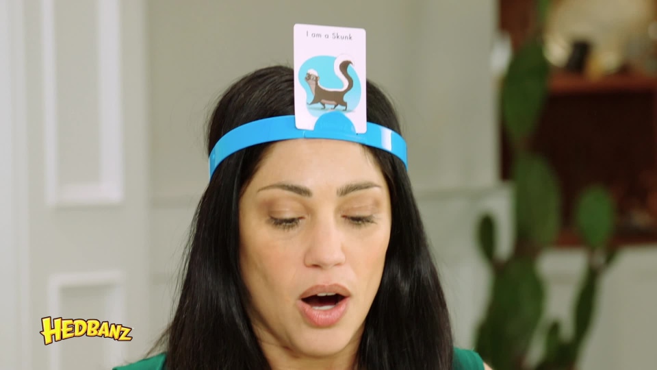 Hedbanz Fun Play Fast-Paced Family Guessing Game for Kids and Adults ...