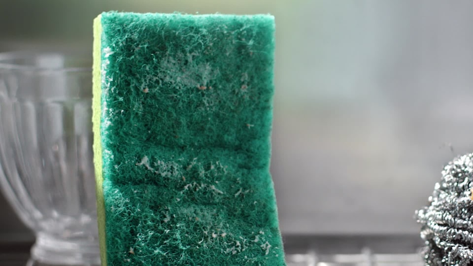 Scotch-Brite Stay Fresh Sponges, Heavy Duty, Odor Free Guarantee ...