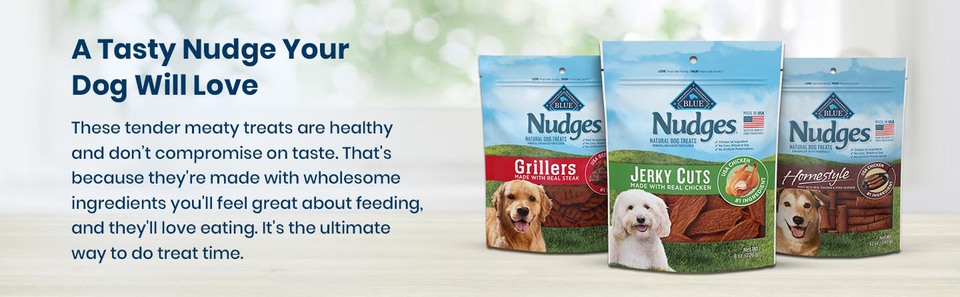 Blue Buffalo Nudges Jerky Cuts Natural Dog Treats - Chicken, 40 oz ...