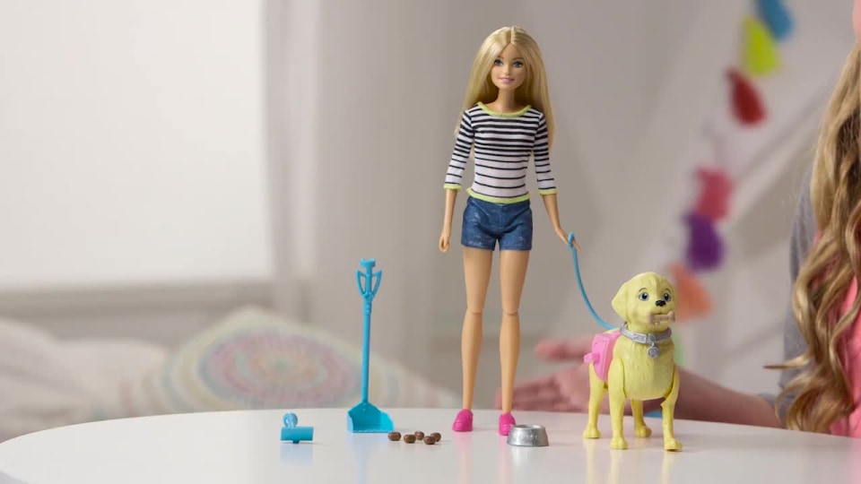 Barbie's Take Care Dog Set with Walking & Potty Training Puppy and ...