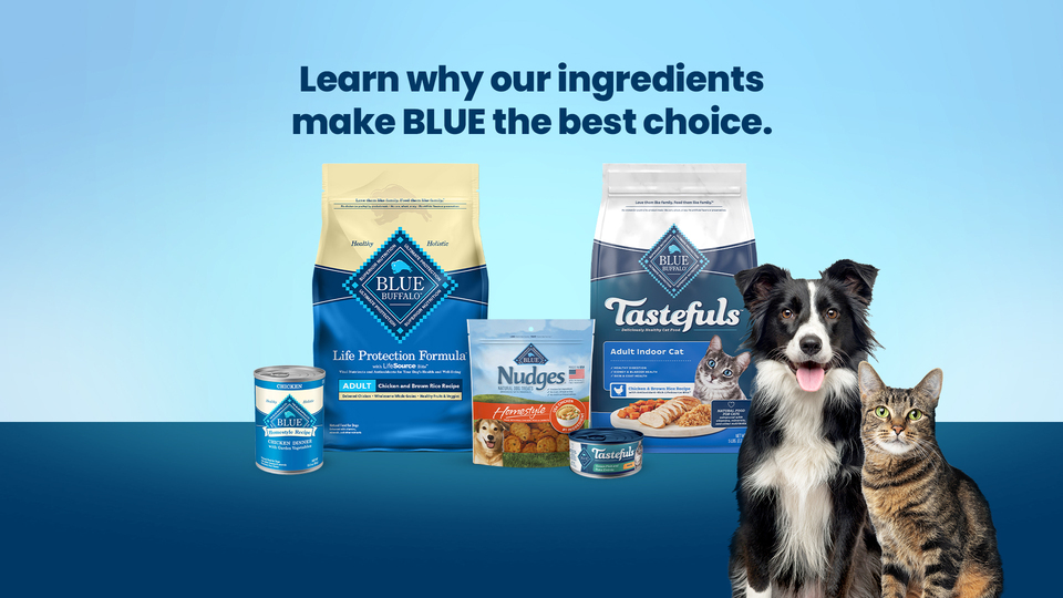 Blue Buffalo Chicken Dog Treats 16 oz Made with Real Chicken, Natural ...