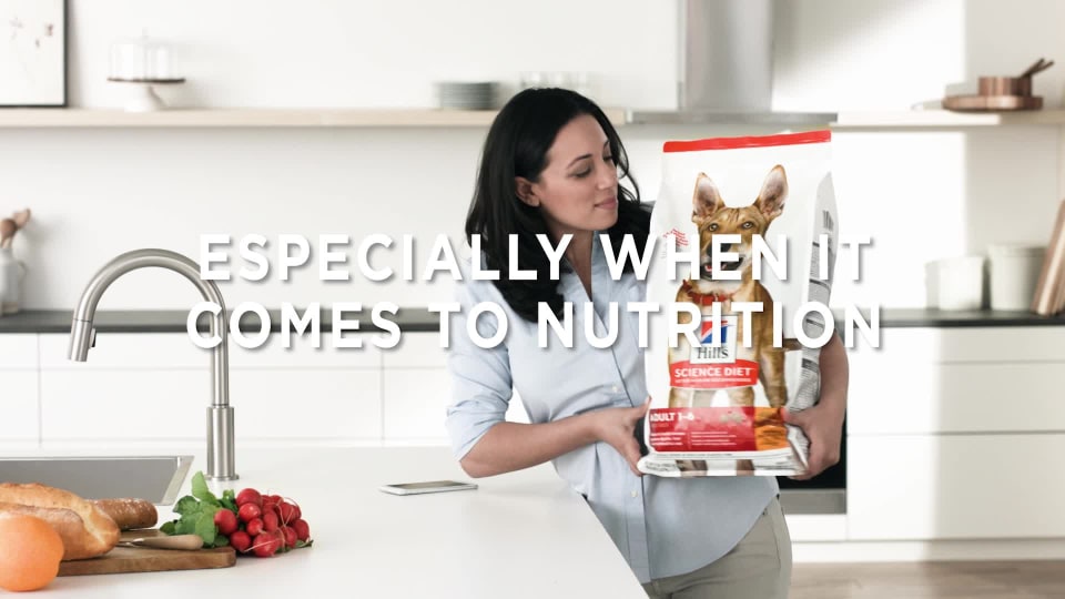 Hill's Science Diet Senior 7+, Natural & Healthy Chicken Meal Dry Dog ...