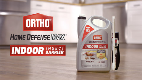 Ortho Home Defense Max Indoor Insect Barrier with Extended Reach ...