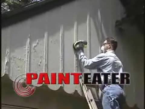 Wagner 0513040 Paint Eater Paint Strippers and Removers, Disc Sanding ...