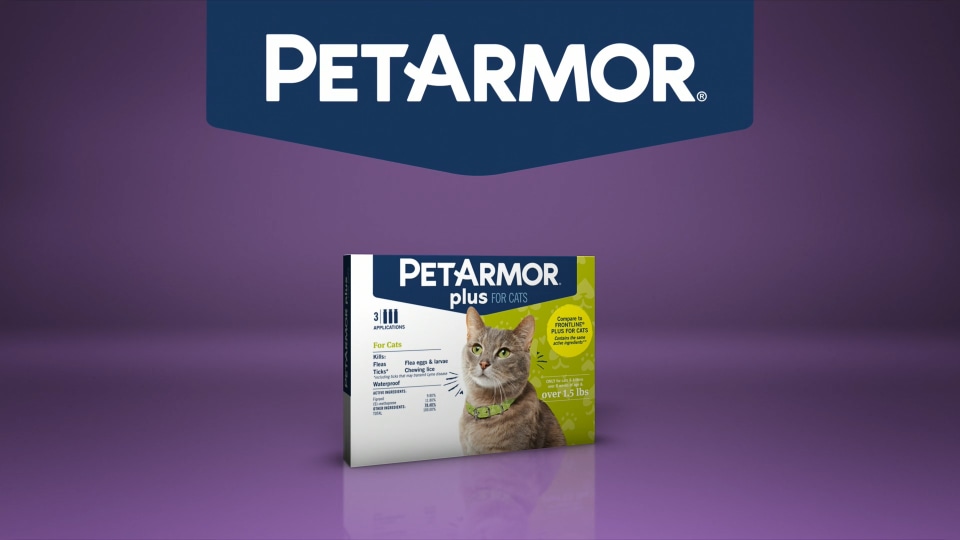 PetArmor Advanced 2, Small/Large - Walmart.com