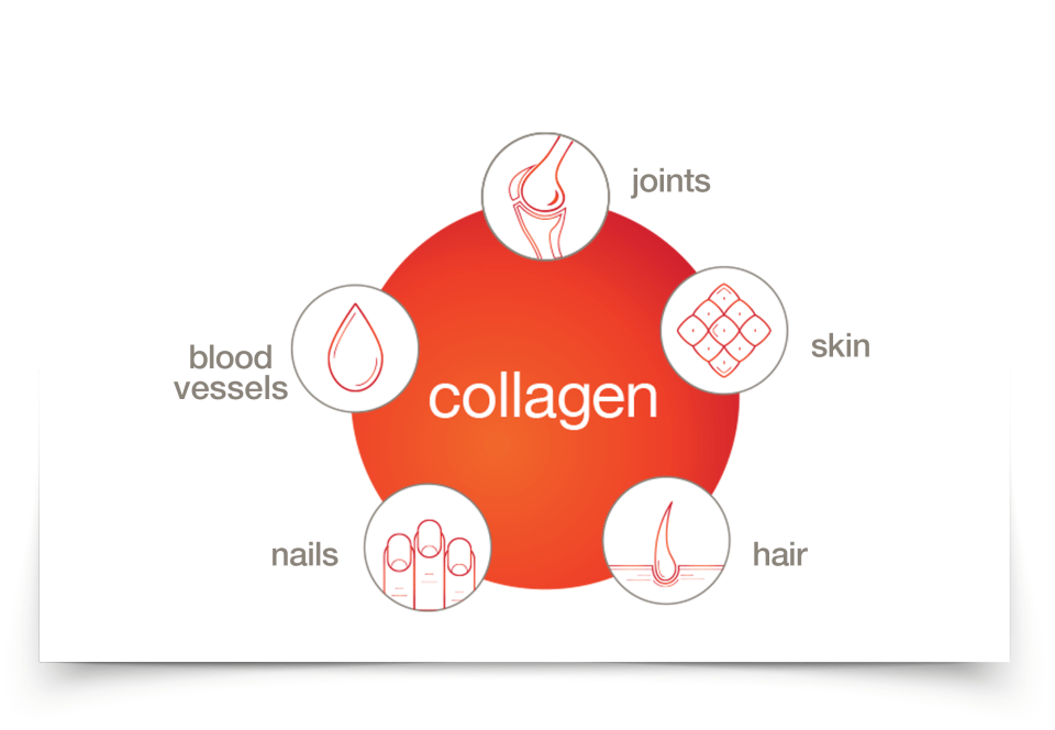 Collagen Liquid, Berry Flavor, 30 Packets