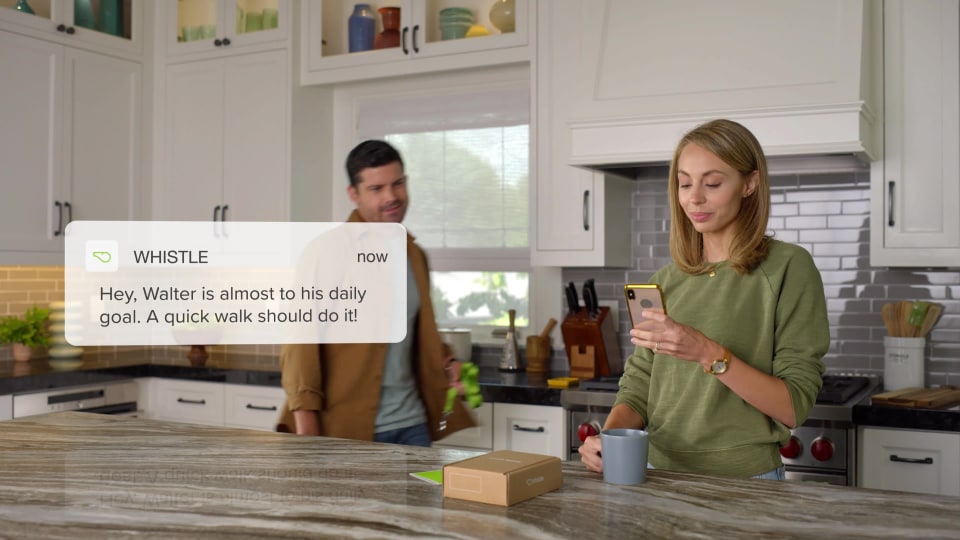 Whistle GO Explore Dog GPS Tracking Device and Pet Health Monitoring ...