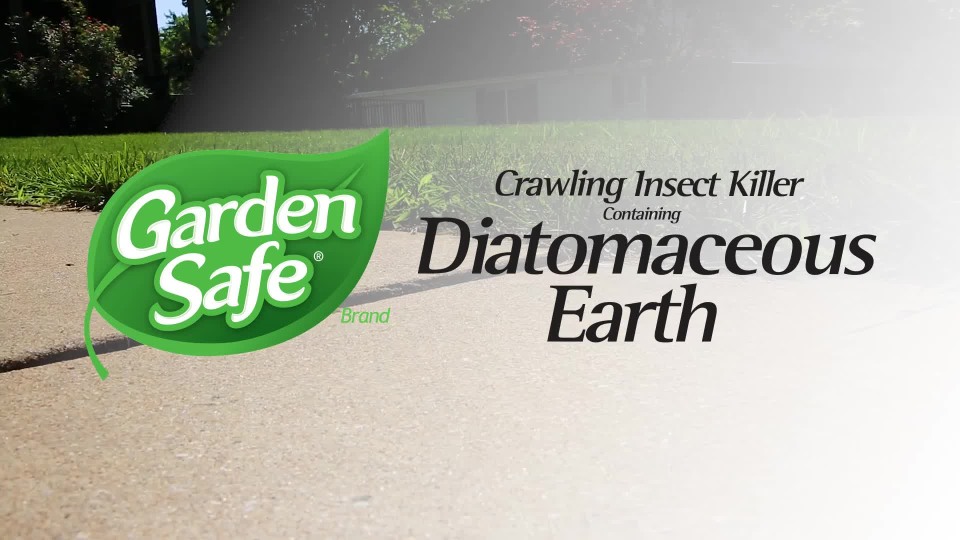 Garden Safe Crawling Insect Killer Containing Diatomaceous Earth, 4 Lb ...