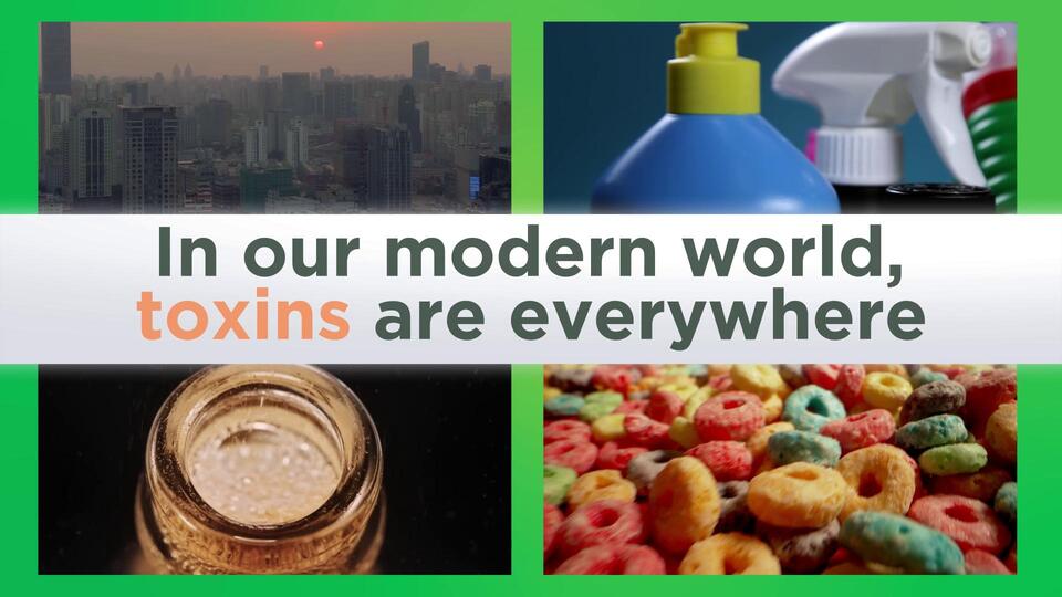 Doctors’ Preferred Liver Defense, Liver Health and Detox Capsules with ...