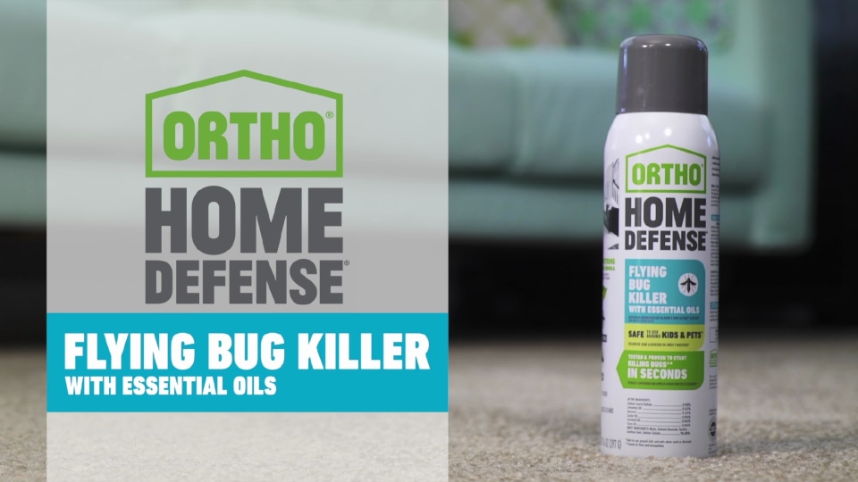 Ortho Home Defense Flying Bug Killer with Essential Oils - Walmart.com