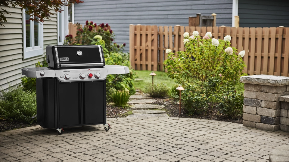 Weber 335 store