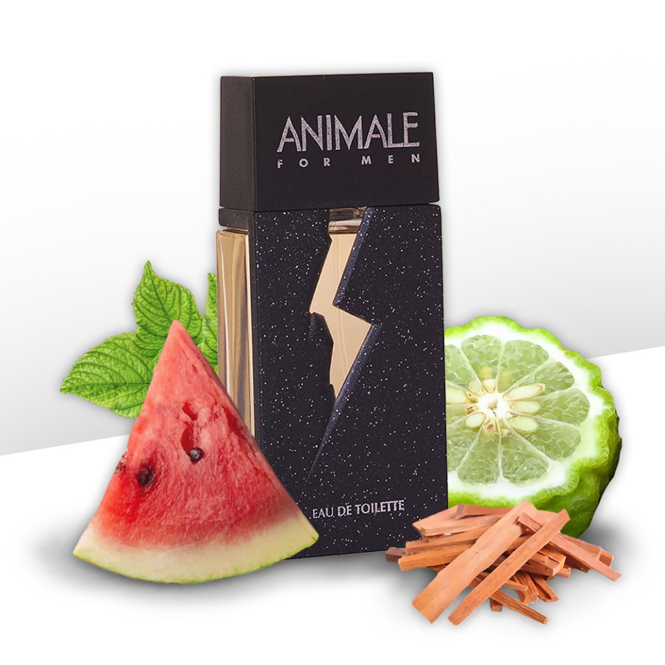 Animale For Men Animale - Perfume Masculino - Eau de Toilette - 100ml ...