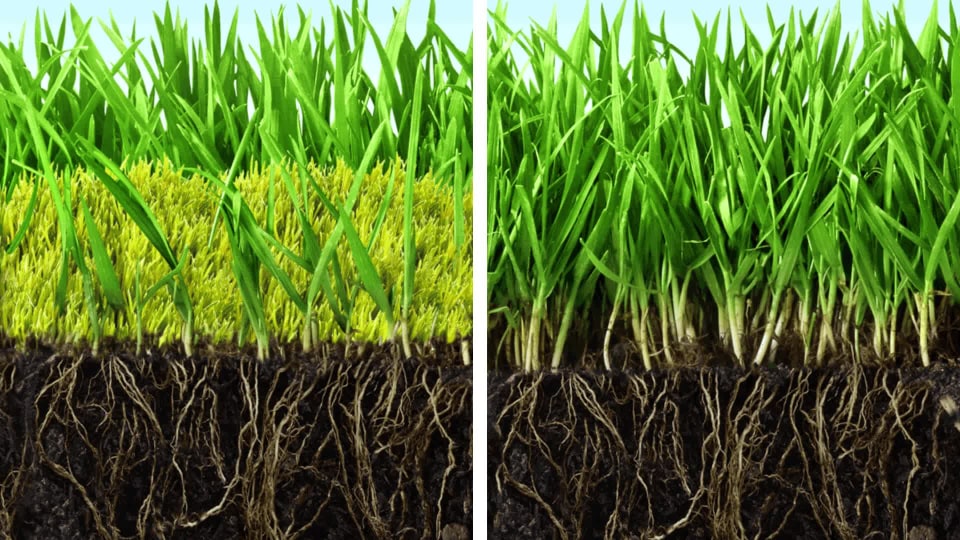 Scotts MossEx, Moss Killer for Lawns with Nutrients, 18.37 lbs ...