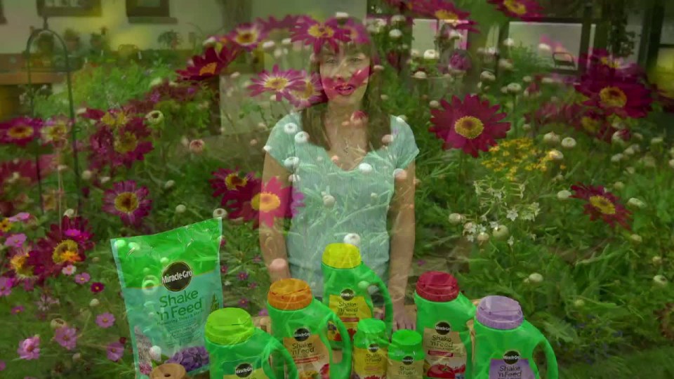 Miracle-Gro Shake 'N Feed Continuous Release Citrus, Avocado & Mango ...