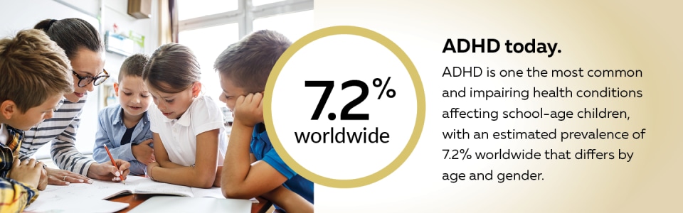 NutraSea ADHD Targeted Omega-3 - Citrus Punch Flavour | 2 Bottles of ...