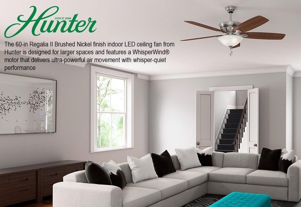 Hunter 60 Regalia New Bronze Ceiling Fan 3 Light | Shelly Lighting